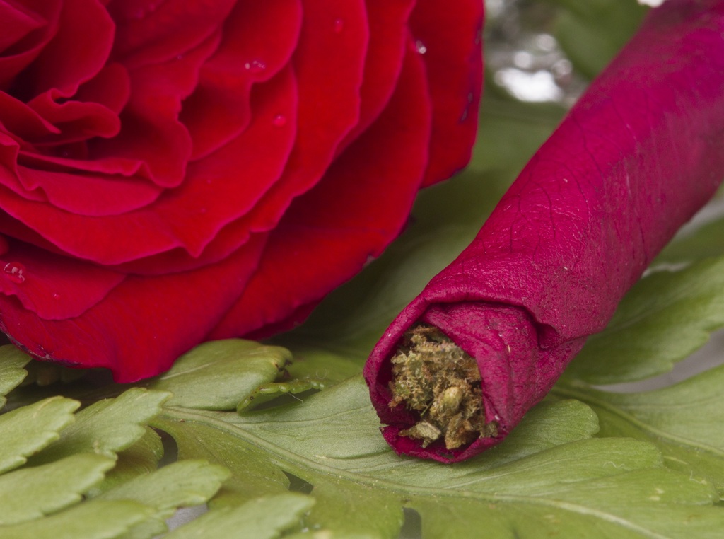El de Mirtha: cómo armar un porro con pétalos de rosas